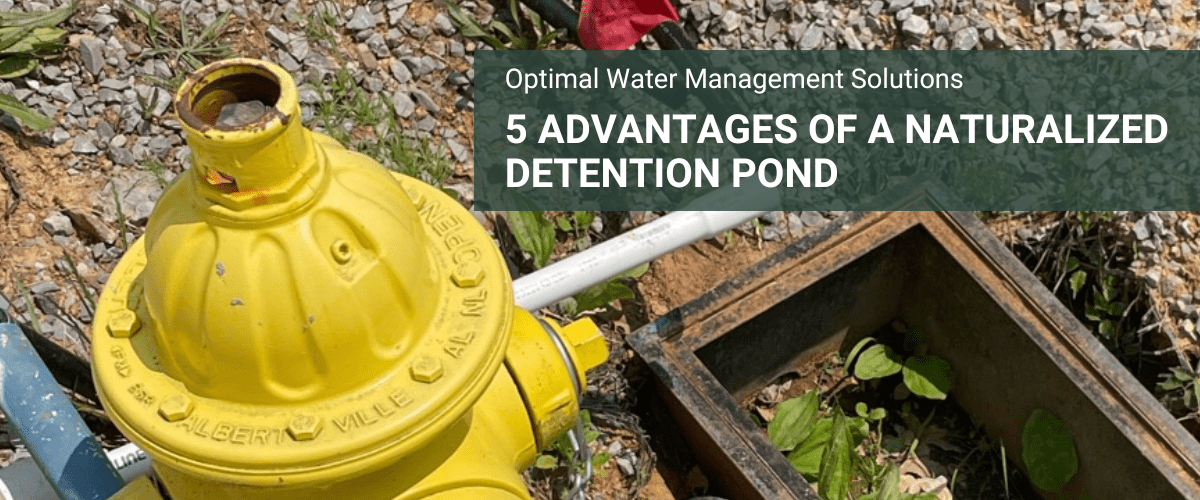 Don’t Do This: Essential Guidelines for Fire Hydrant Maintenance ...